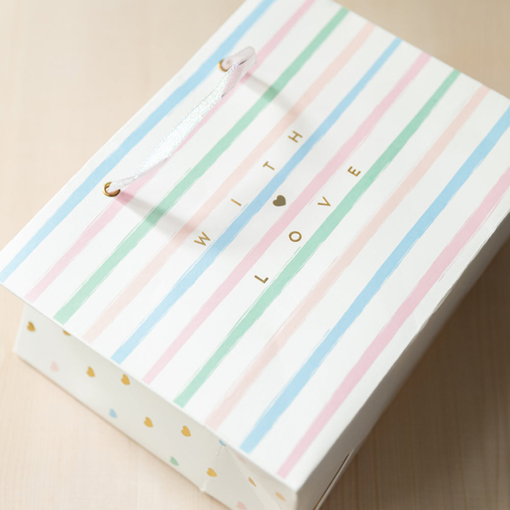 Multicolour Candy Stripes Gift Bag - Set of 5 – Pink Palette Stationery